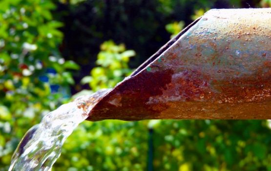 Cedar Solar | Solar Water Pumps and Solar PV Solutions - Cedar Solar